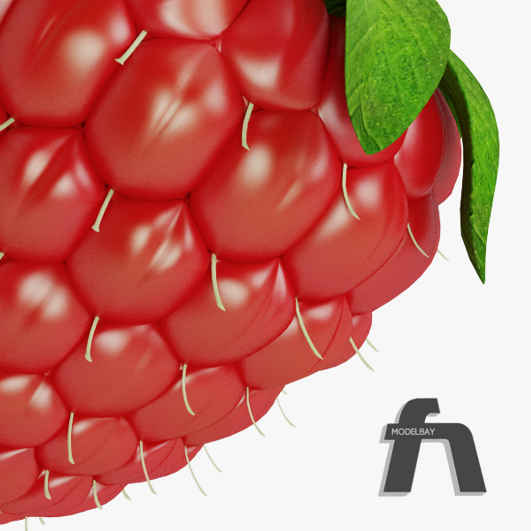 3d raspberry fruit model
