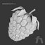 3d Raspberry Fruit Model