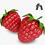 3d Raspberry Fruit Model