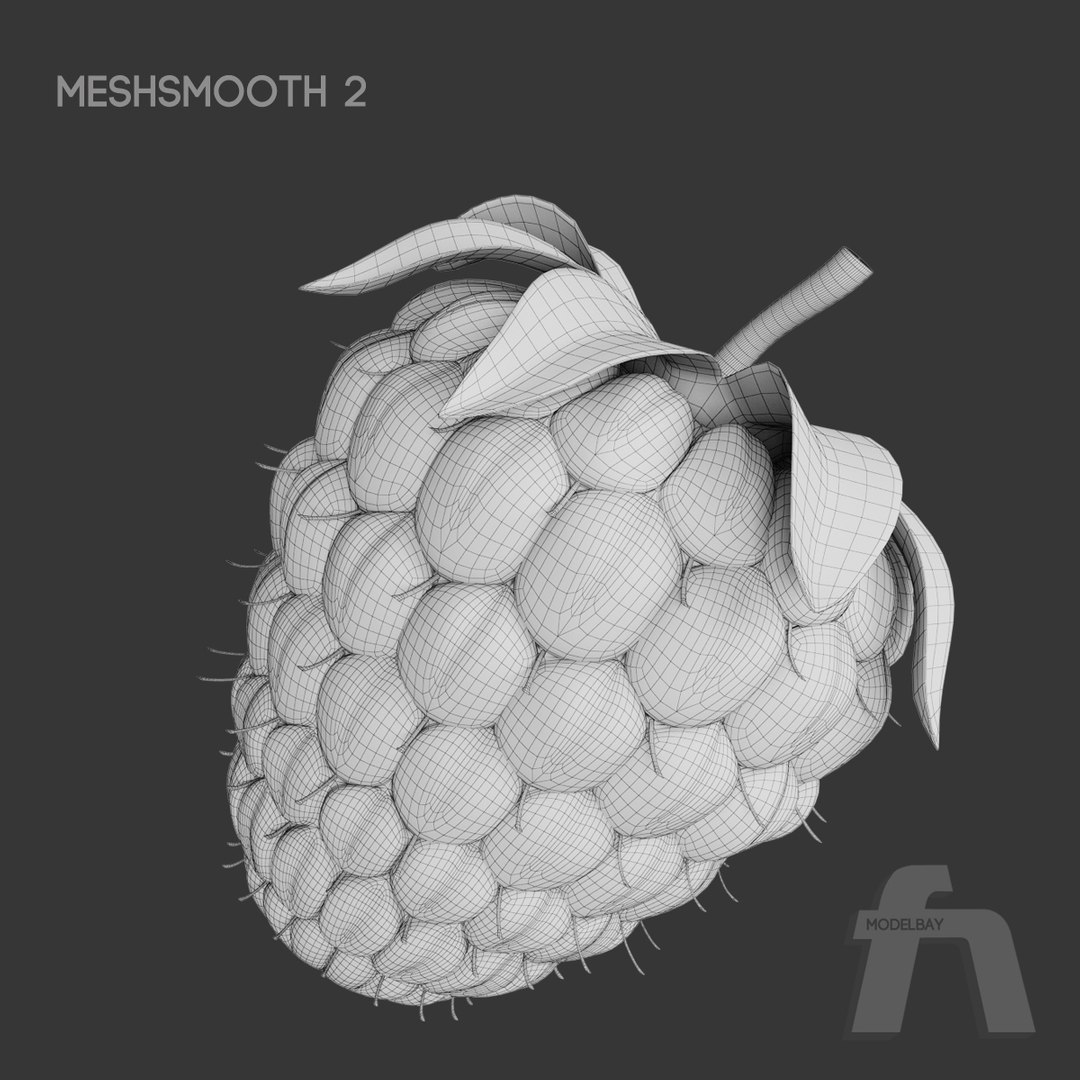3d Raspberry Fruit Model
