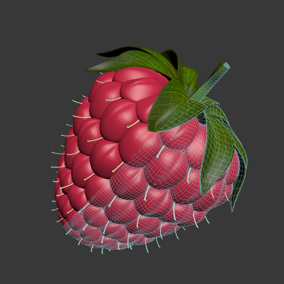 3d raspberry fruit model