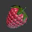3d Raspberry Fruit Model
