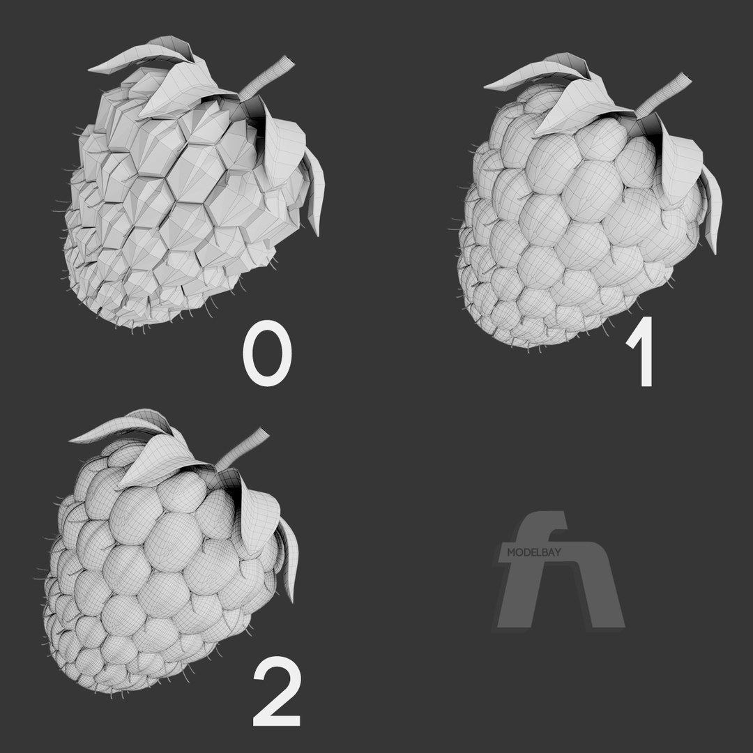 3d Raspberry Fruit Model