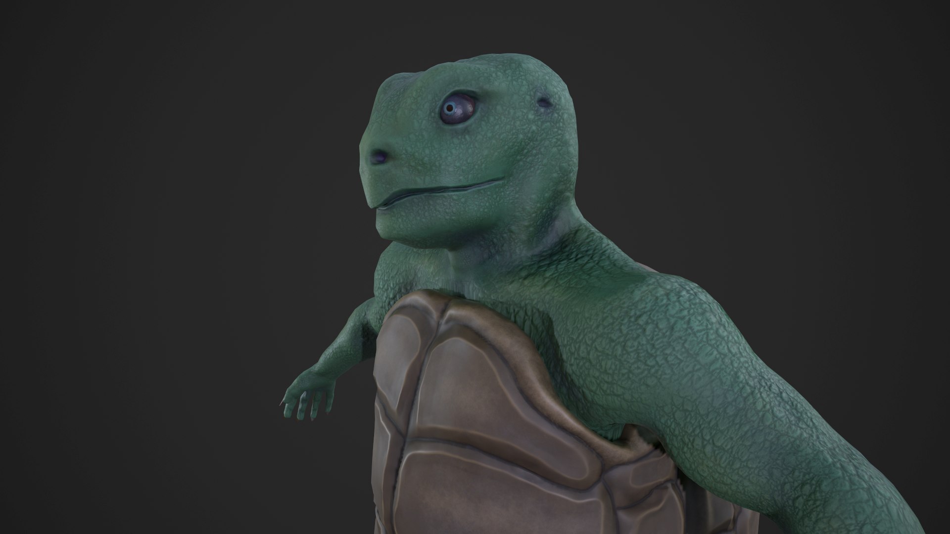 3D turtle character - TurboSquid 1527007