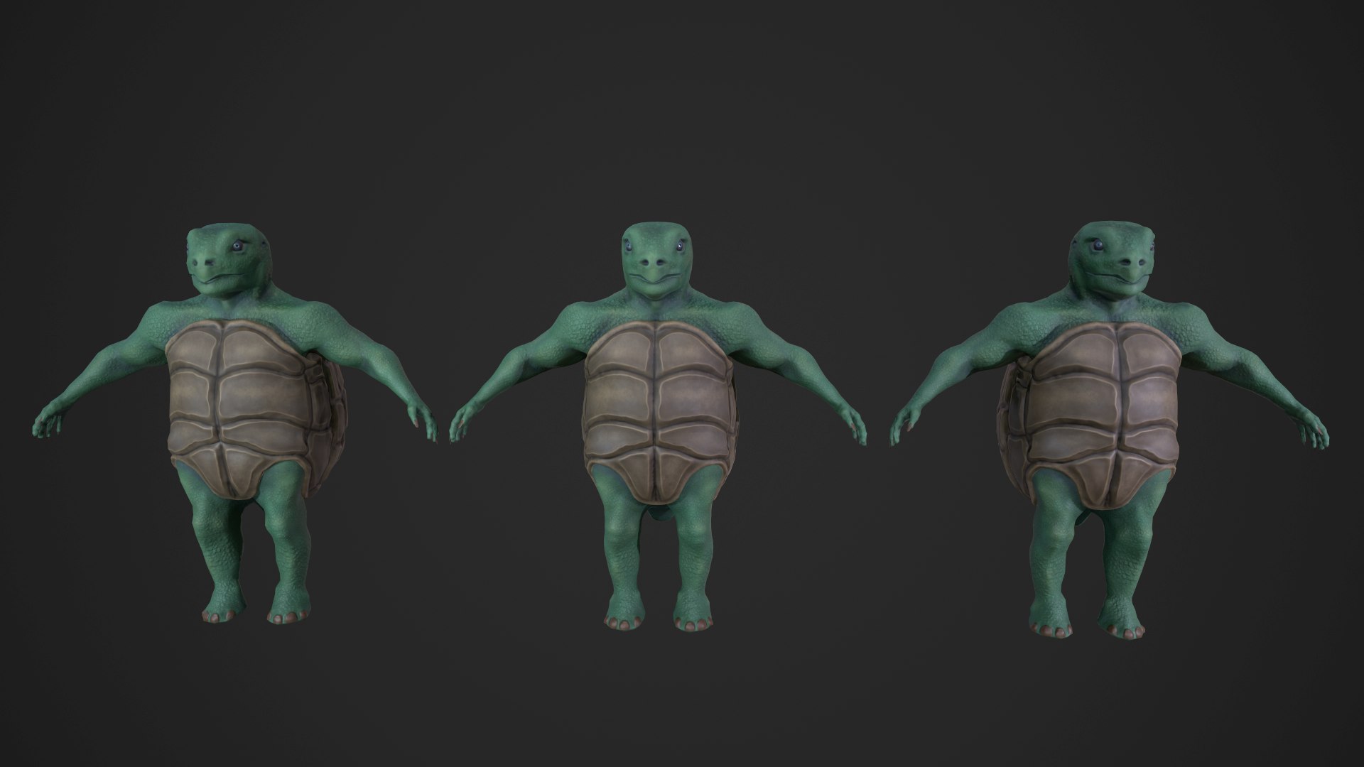 3D turtle character - TurboSquid 1527007