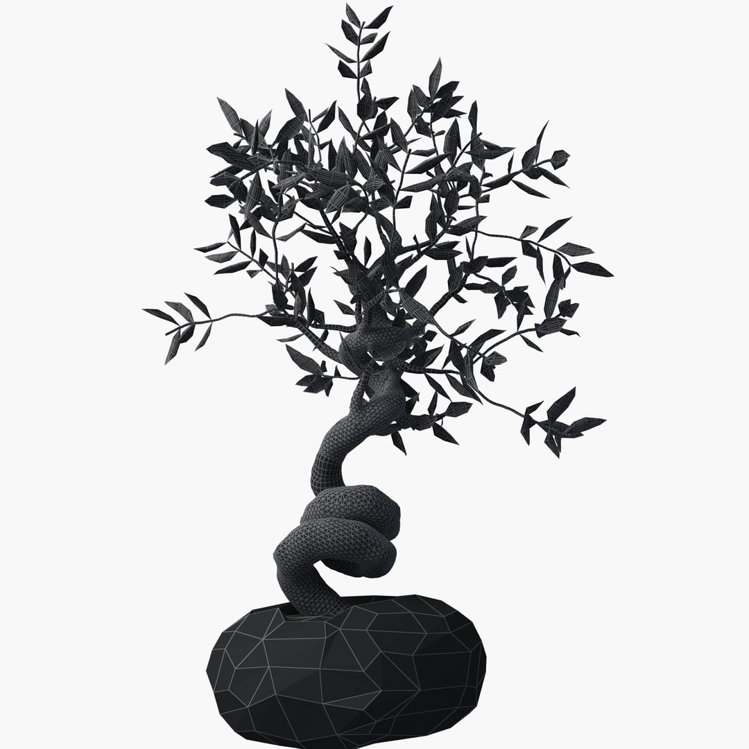 3d Realistic Bonzai Olive Tree Model