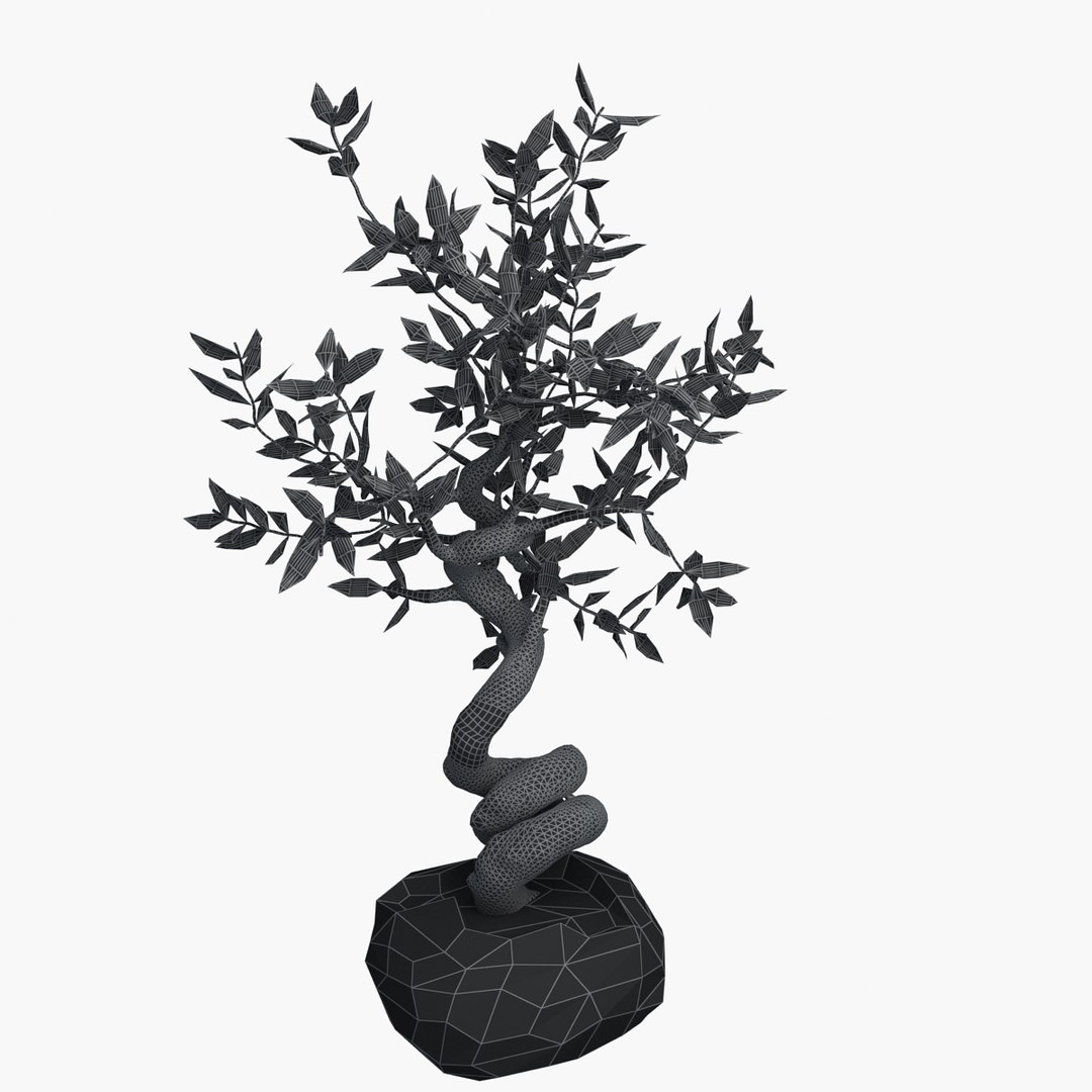 3d Realistic Bonzai Olive Tree Model