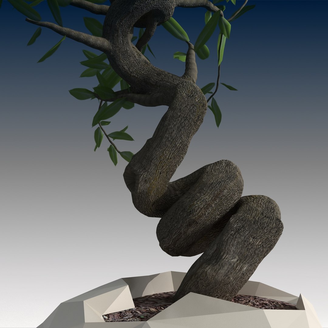 3d Realistic Bonzai Olive Tree Model
