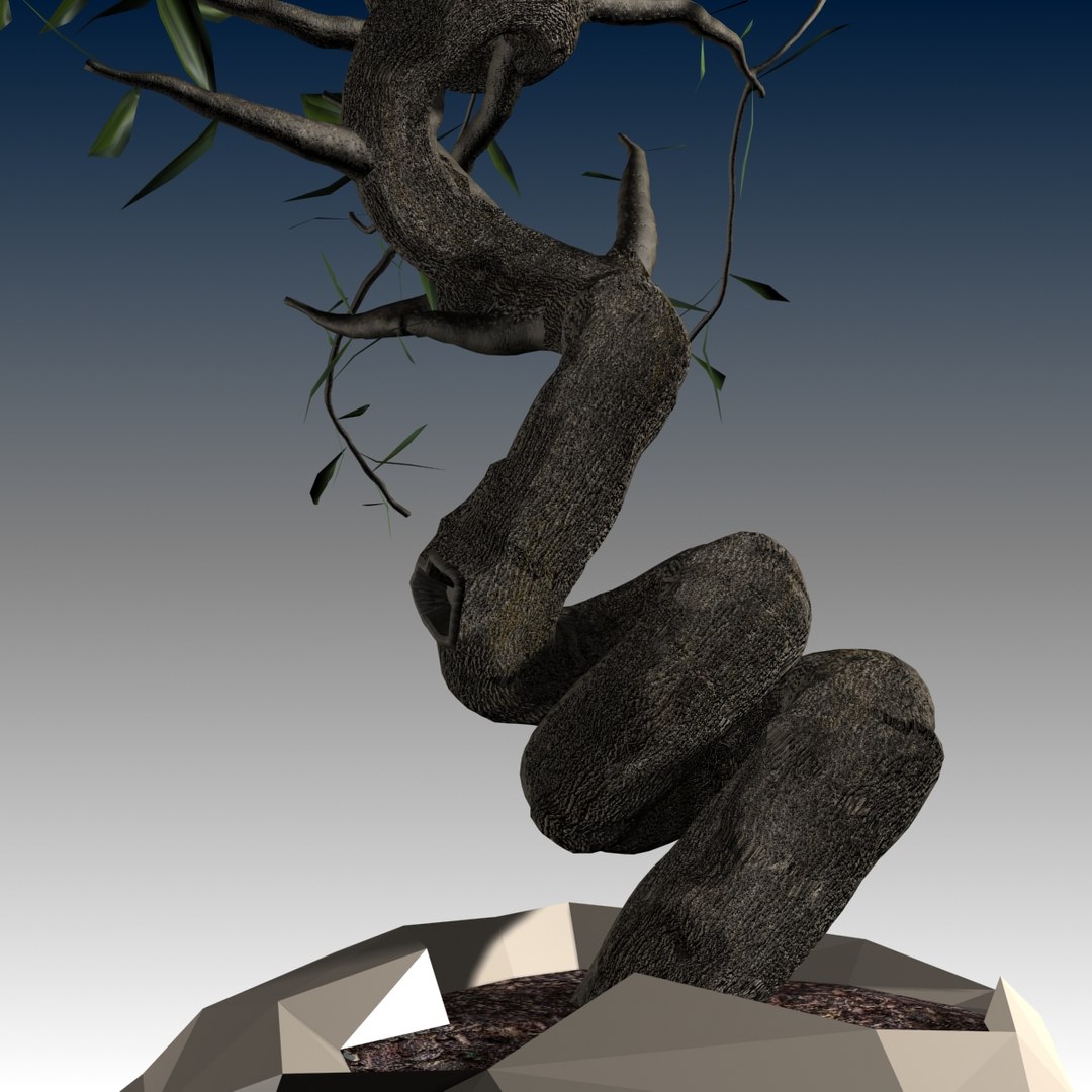 3d Realistic Bonzai Olive Tree Model