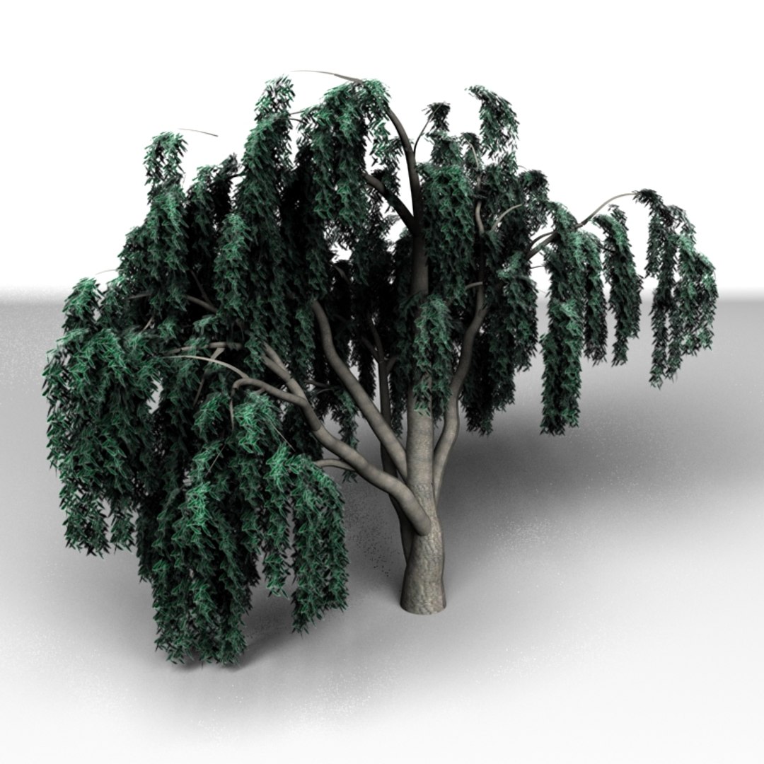 tree 3d max