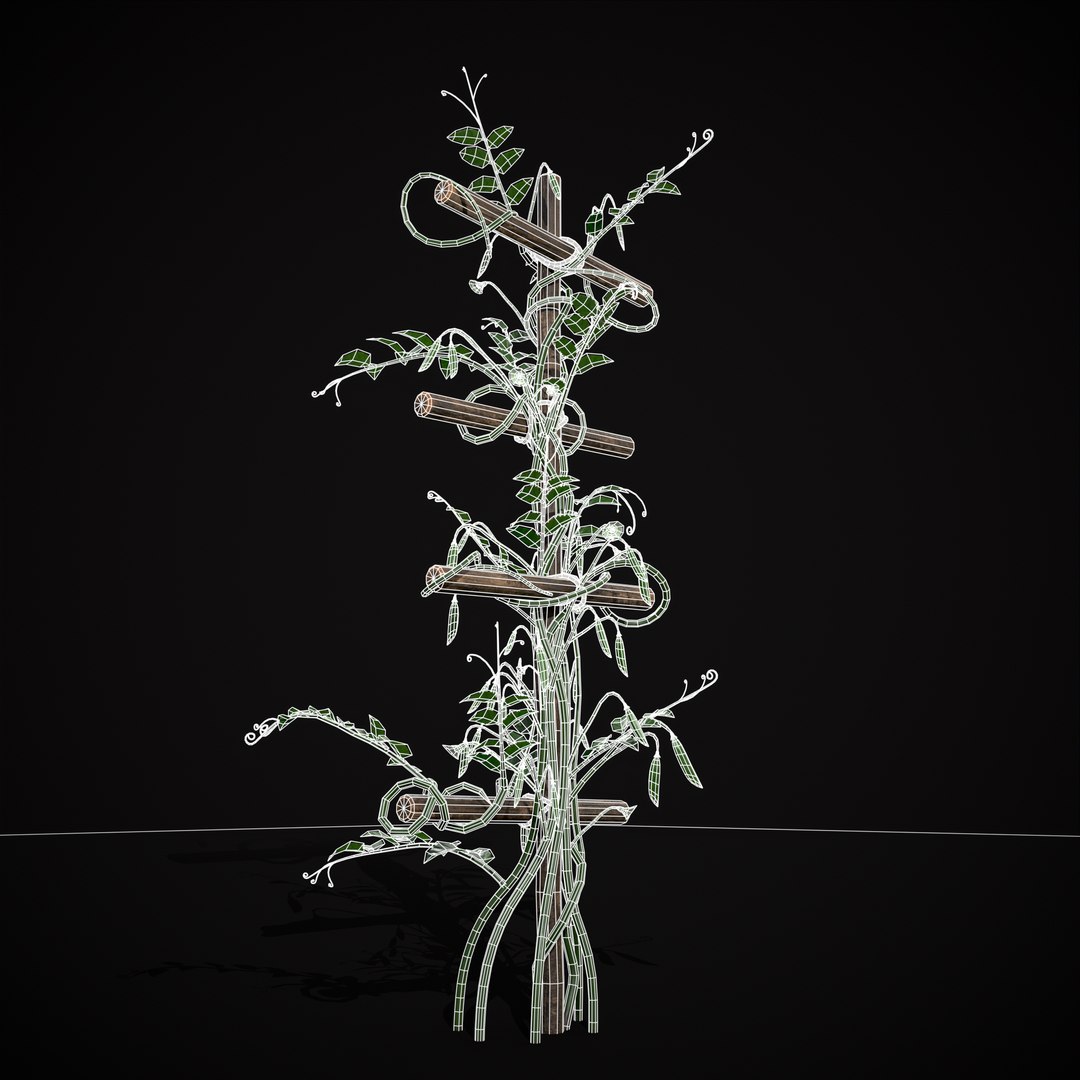 3D Peas Plant - TurboSquid 2199067