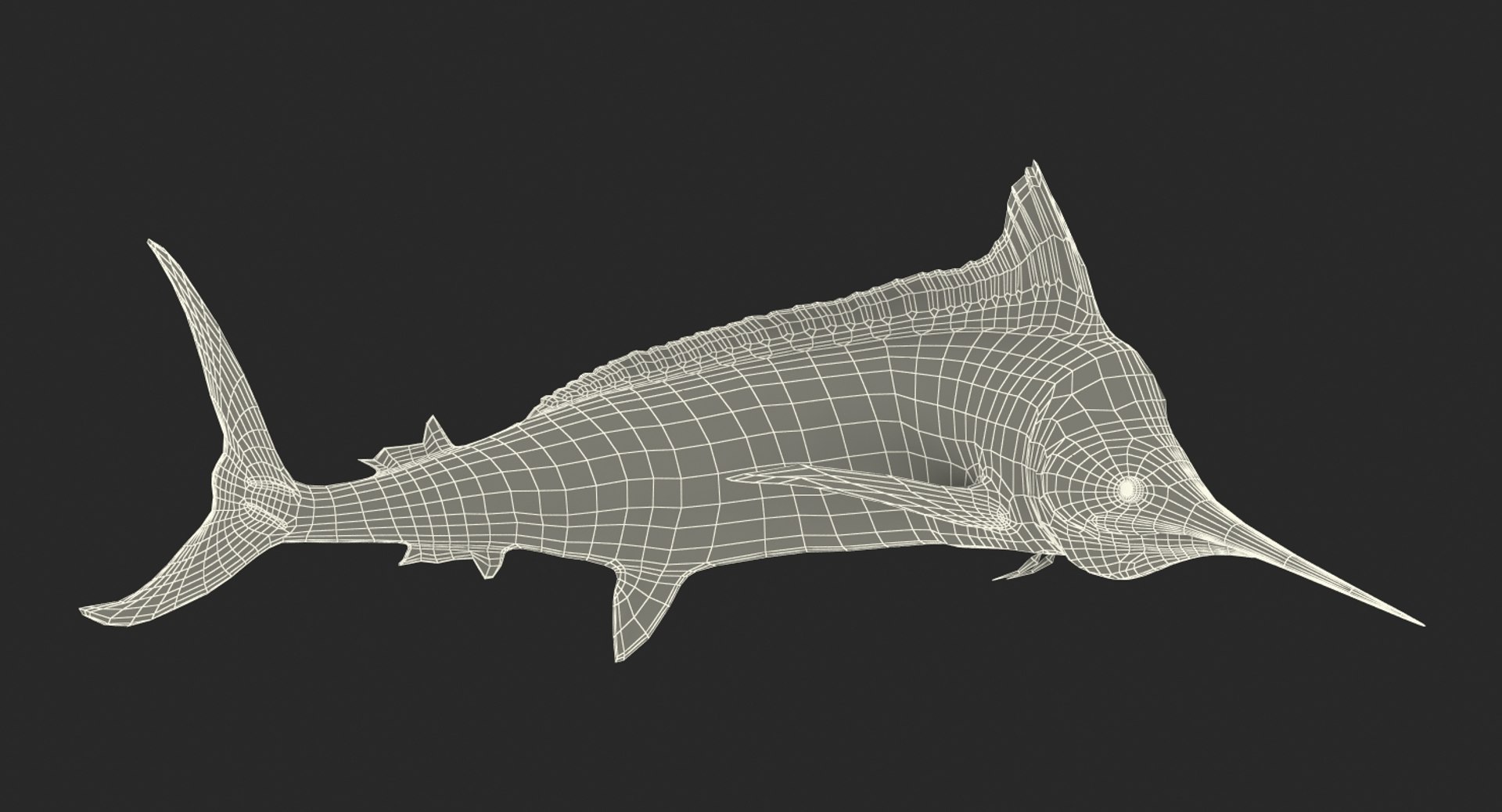 3d Blue Marlin Pose 3