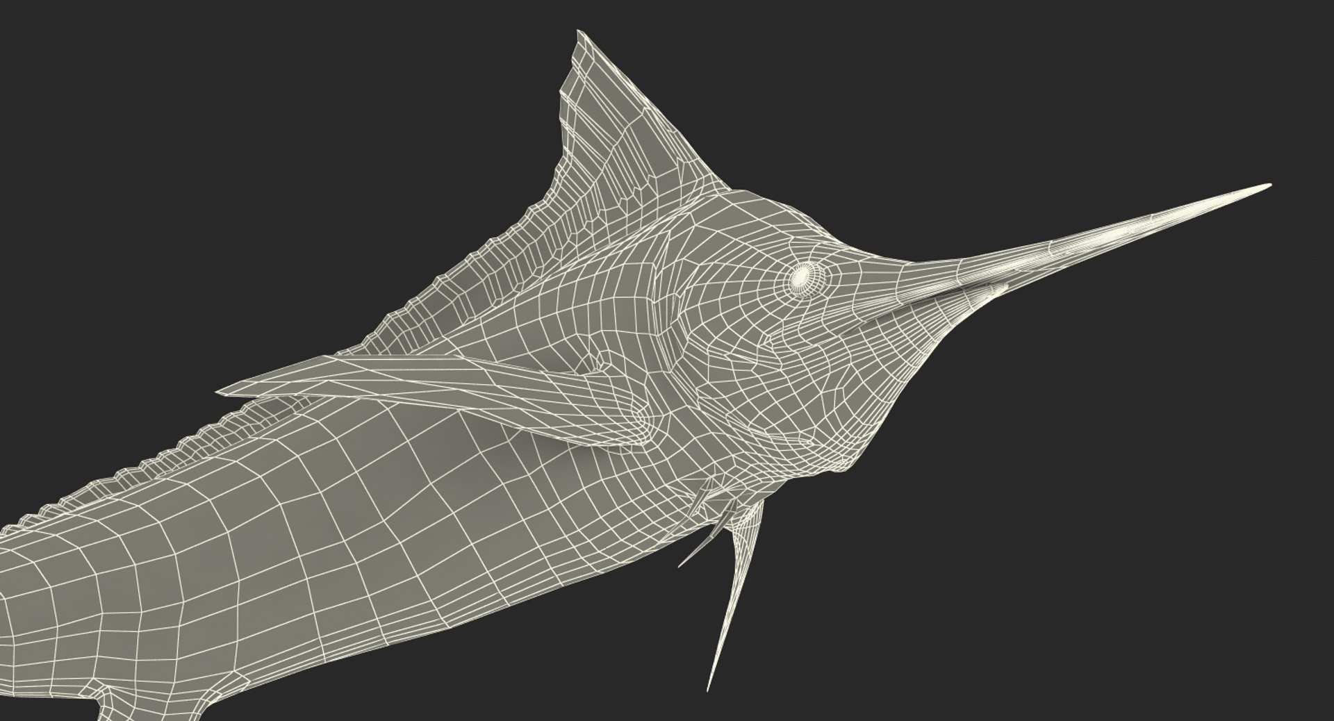 3d Blue Marlin Pose 3