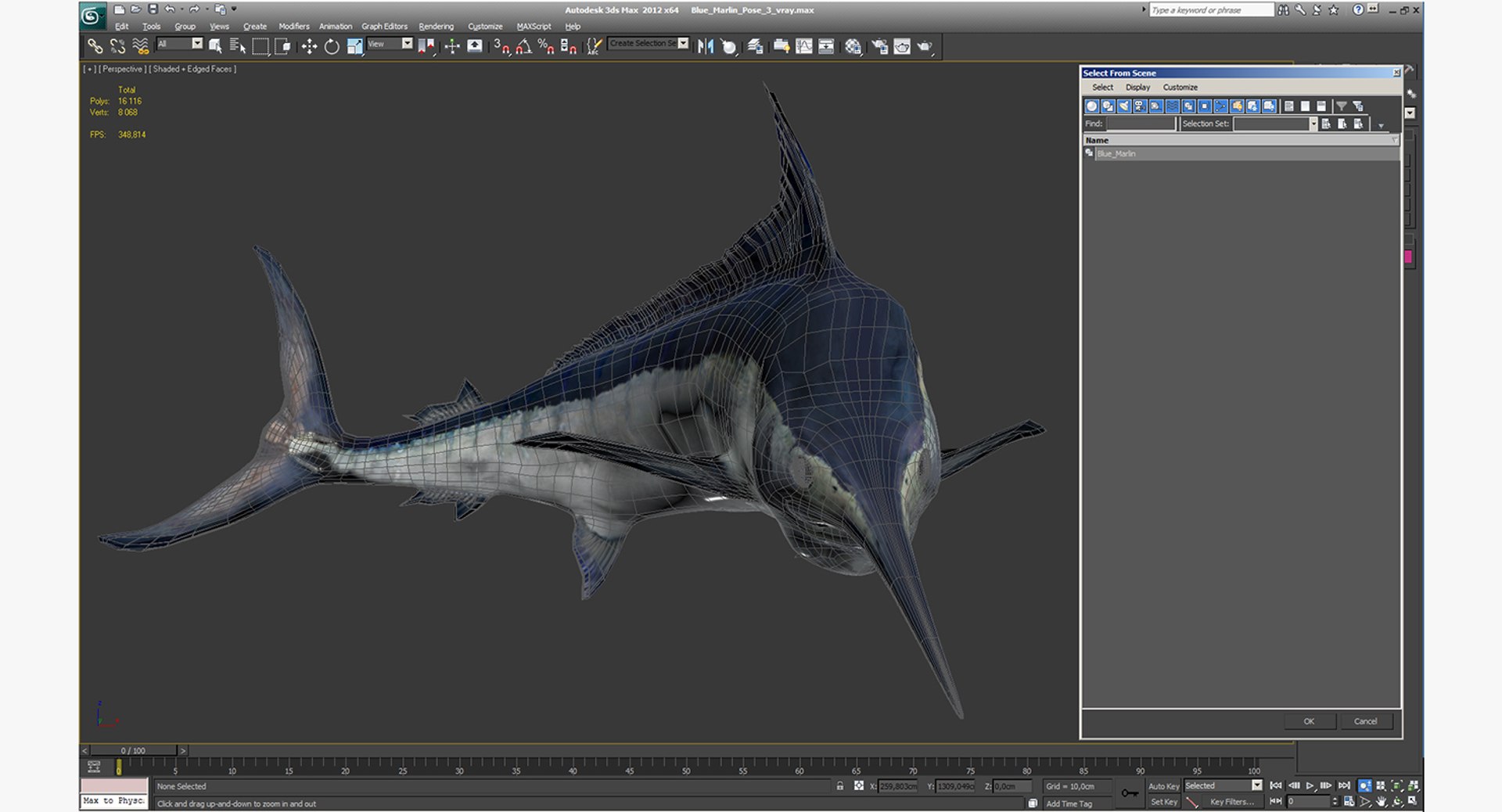 3d Blue Marlin Pose 3