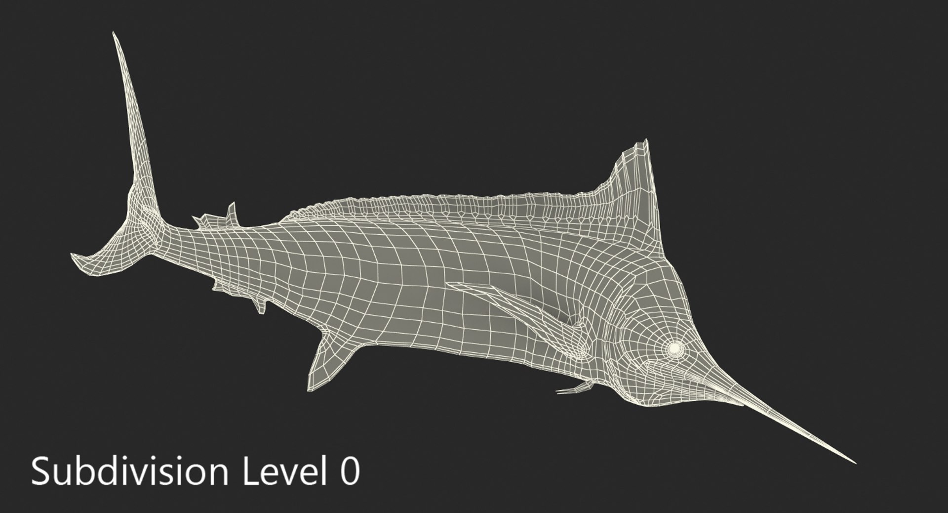 3d Blue Marlin Pose 3