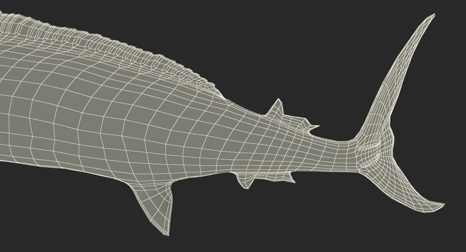 3d Blue Marlin Pose 3