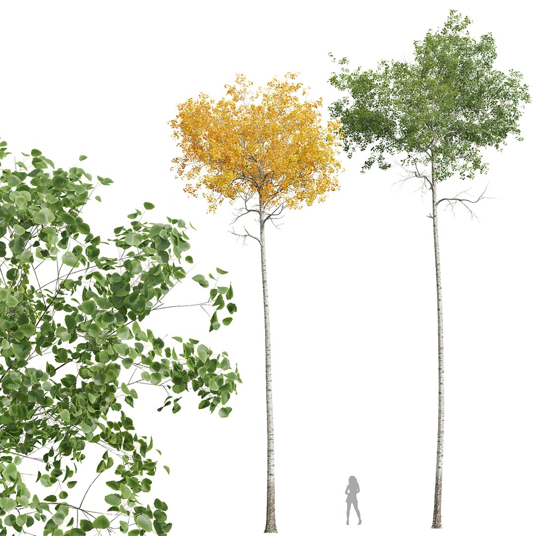 6 Different SETS Of Tree VOL 19 3D Model - TurboSquid 2155411