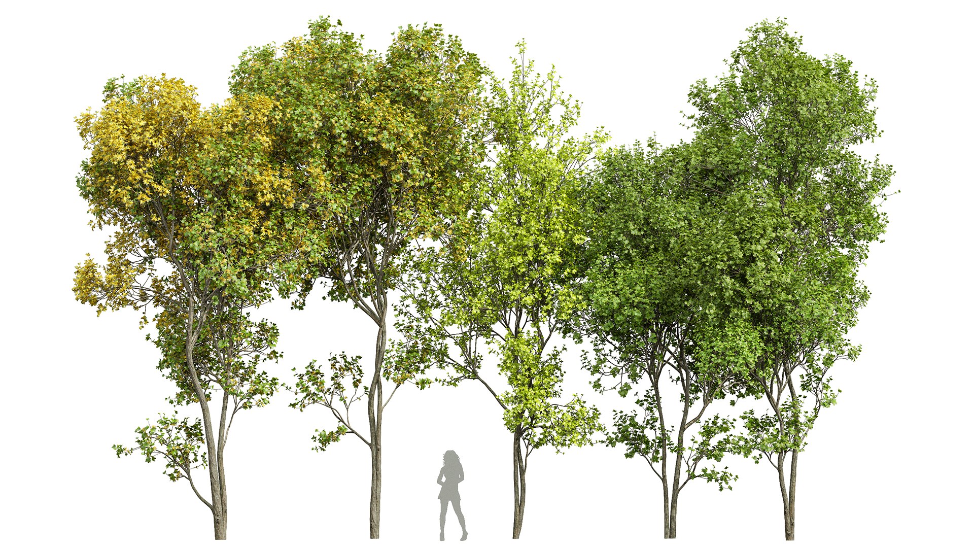 6 Different SETS Of Tree VOL 19 3D Model - TurboSquid 2155411