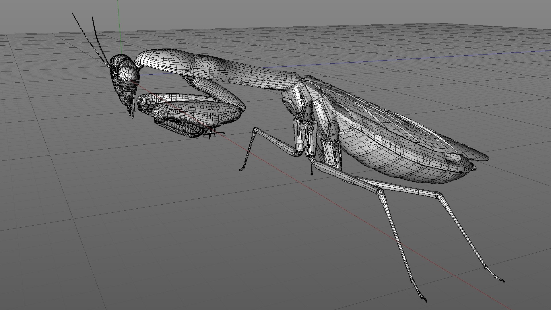 Praying Mantis 3D Model - TurboSquid 1689599