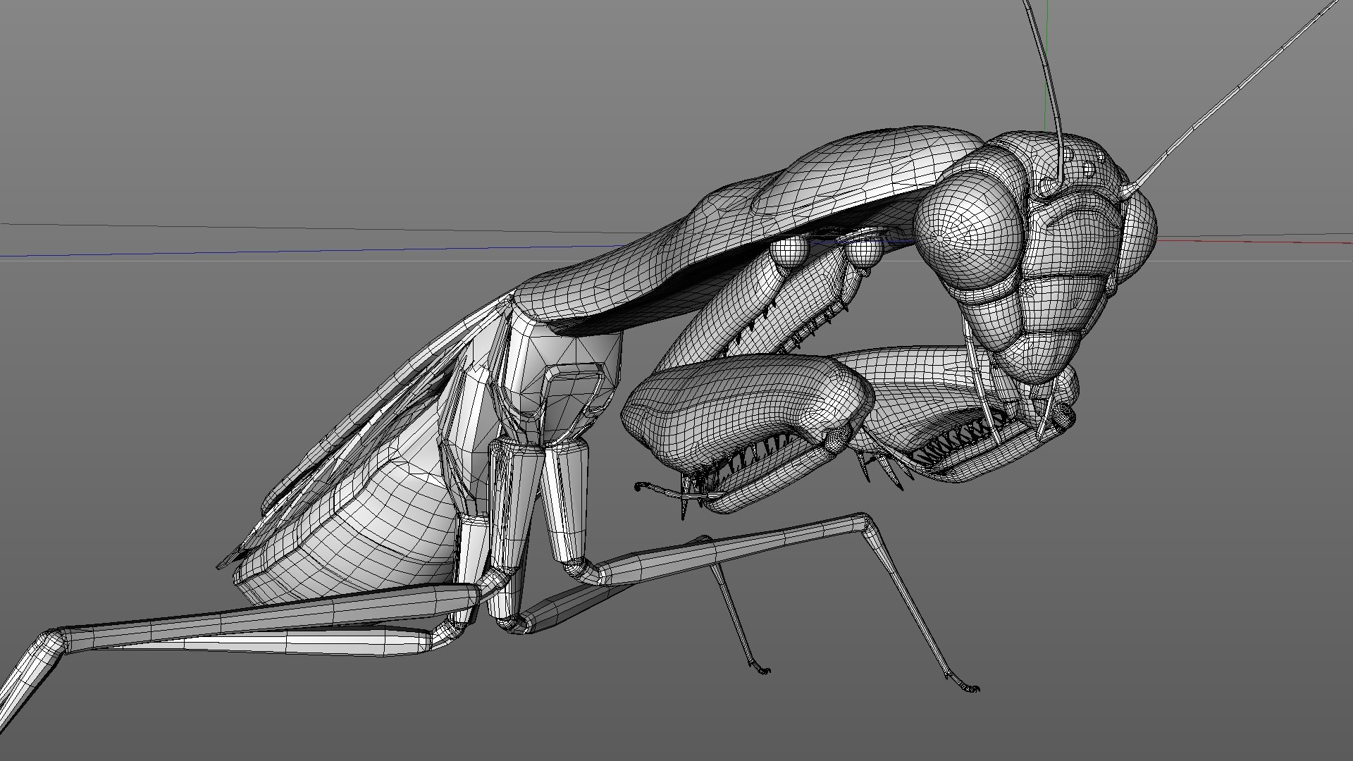 Praying Mantis 3D Model - TurboSquid 1689599