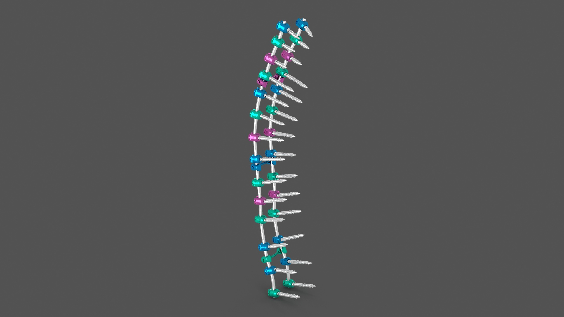 3D Model Thoracic Spine Fixation System Colored - TurboSquid 2205543