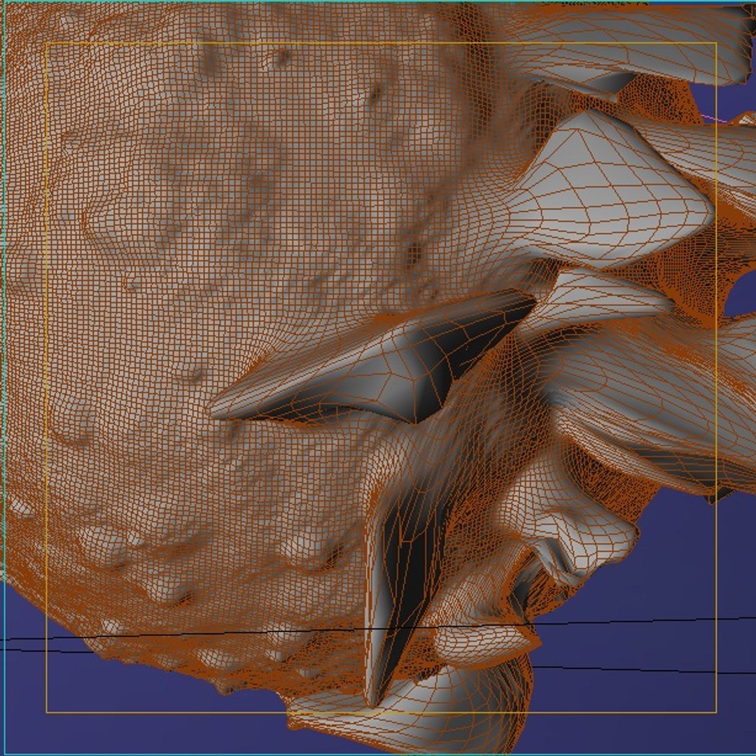 3d Model Mononucleosis Infectious Virus