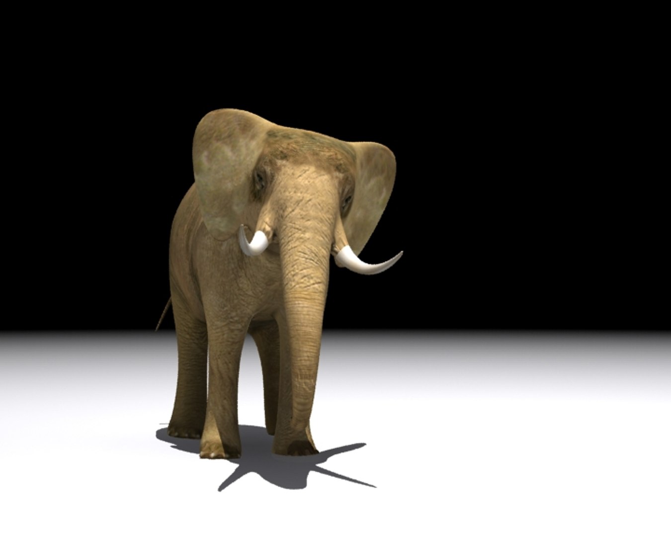 elephant animation 3d max