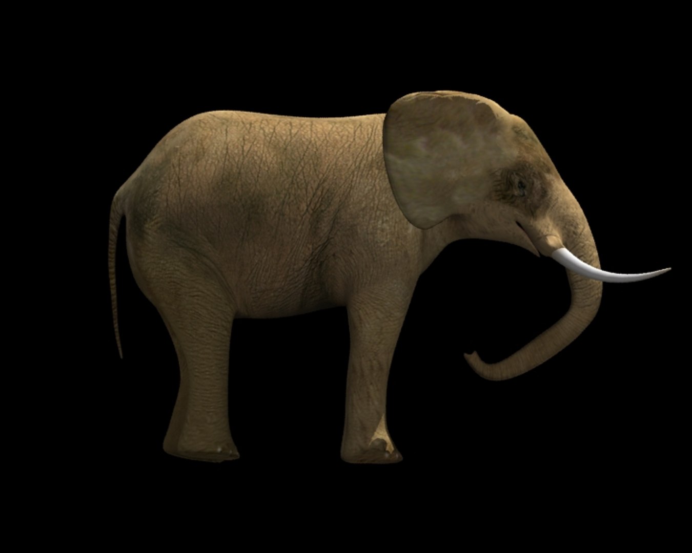 elephant animation 3d max