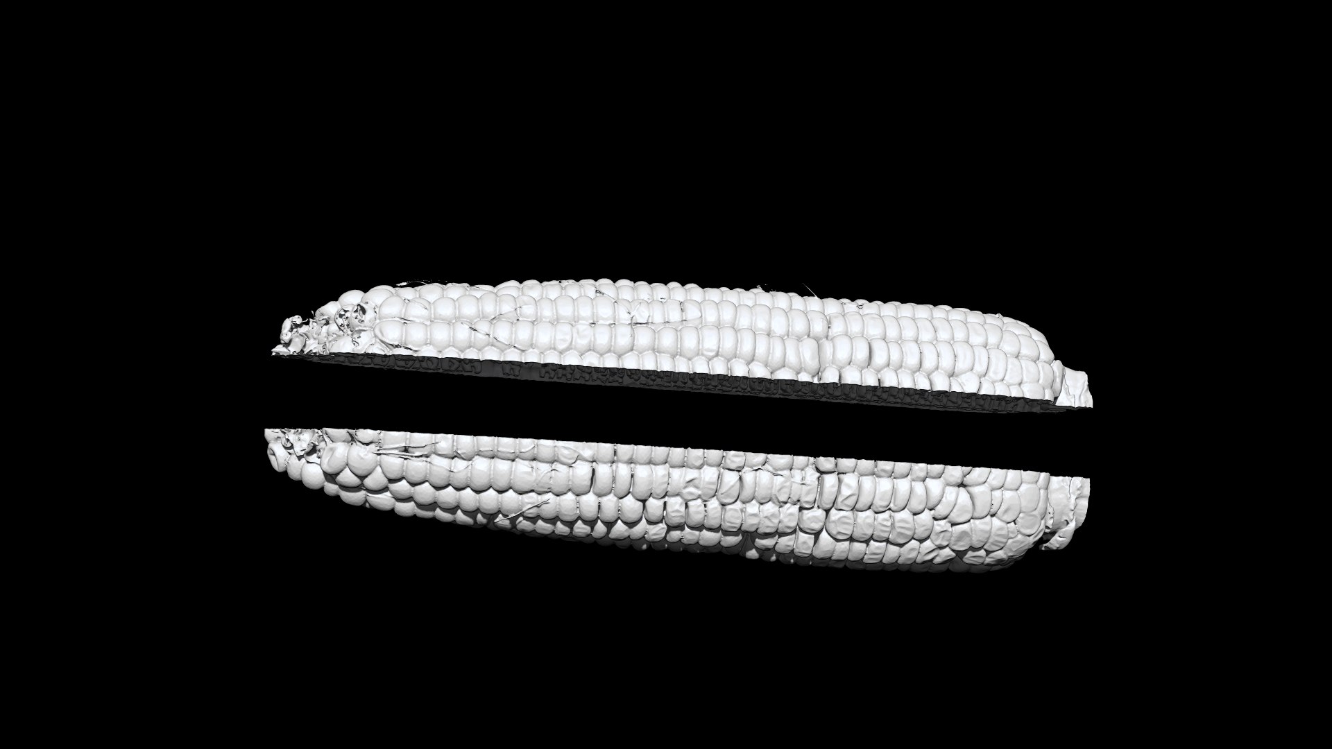 Corn 3D CT Scan Model Cut1 Decimate 30 Percent 3D Model - TurboSquid ...