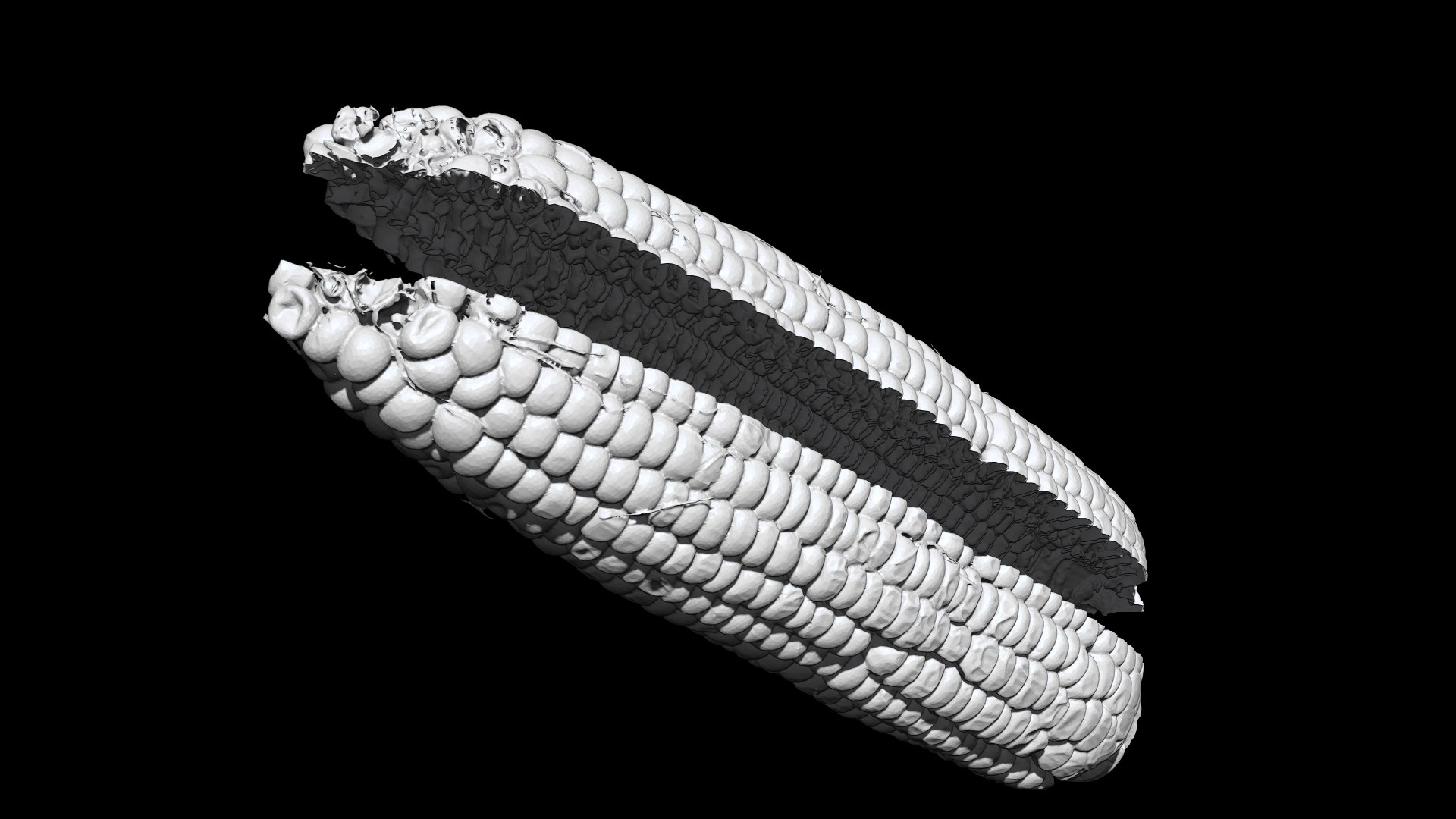 Corn 3D CT Scan Model Cut1 Decimate 30 Percent 3D Model - TurboSquid ...