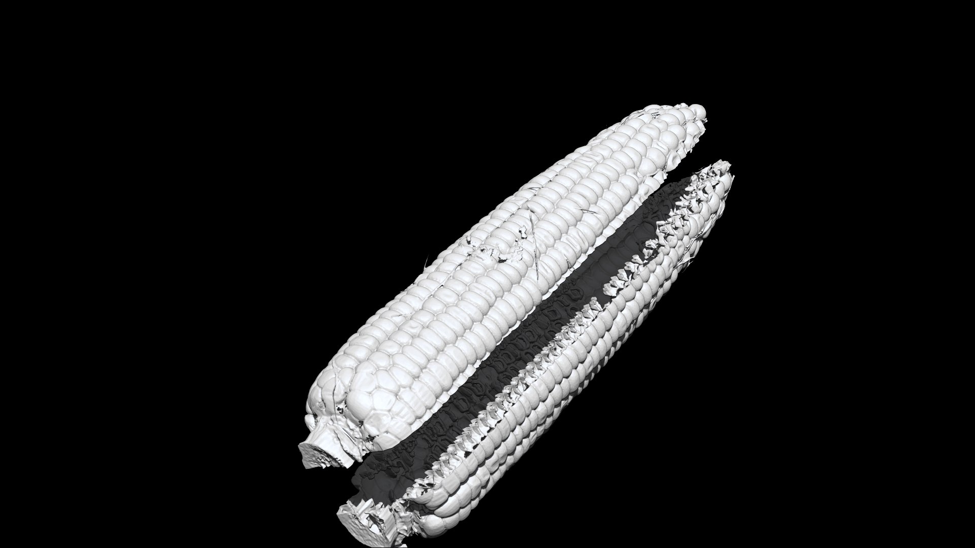 Corn 3D CT Scan Model Cut1 Decimate 30 Percent 3D Model - TurboSquid ...