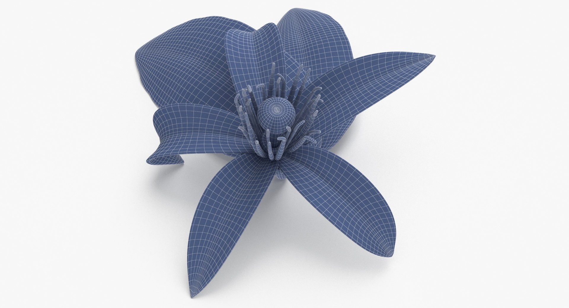 3D Prop 24 Citrus Blossoms Single Flower - TurboSquid 2146837