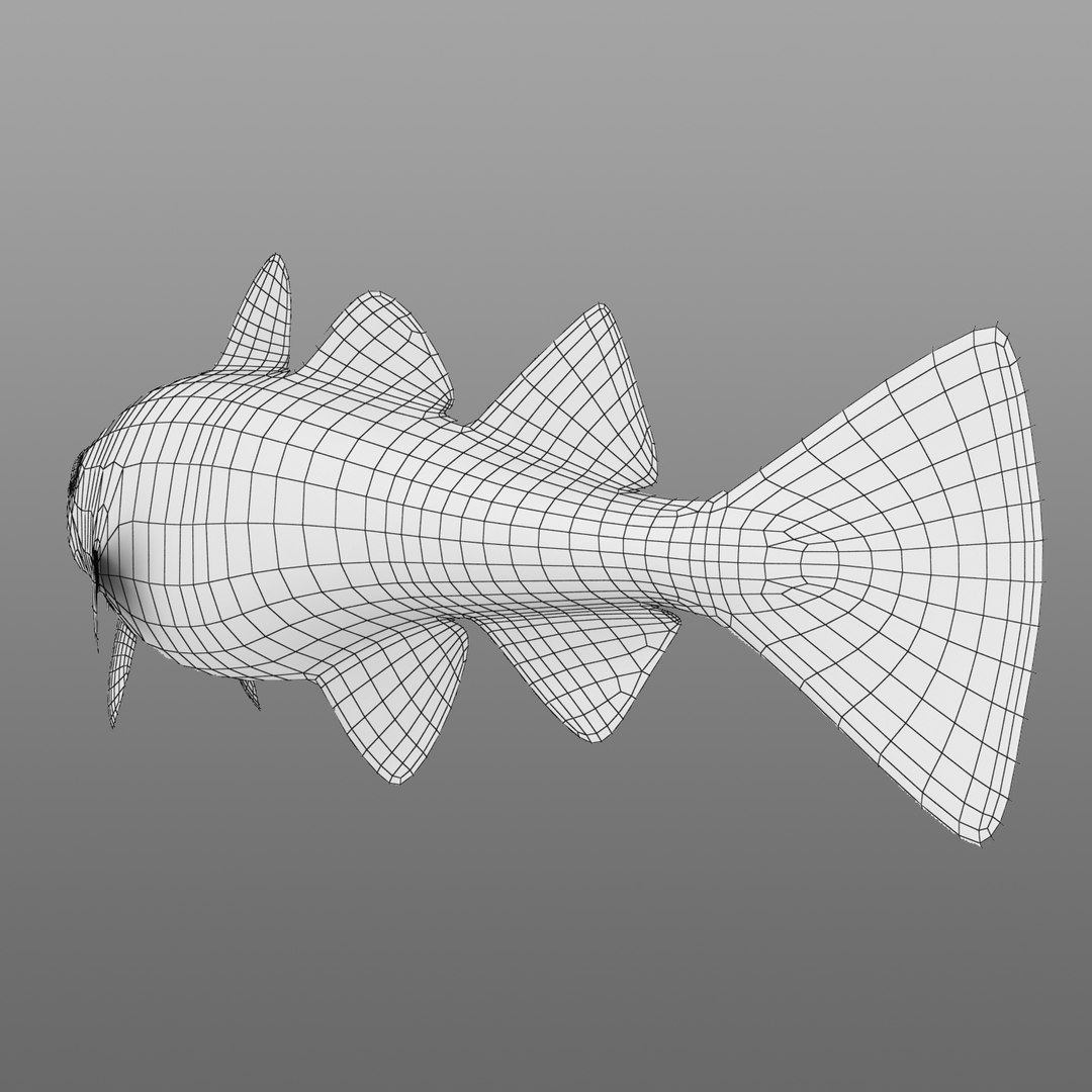 Cod Fish 3d Model