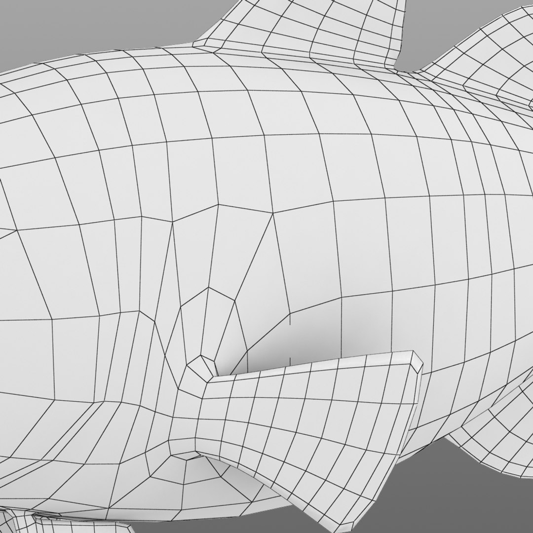 Cod Fish 3d Model