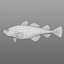 Cod Fish 3d Model