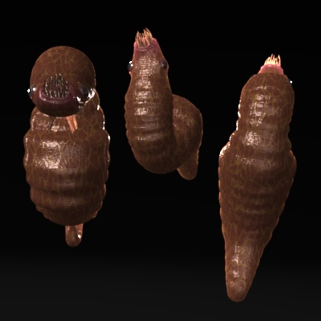 3d Larva Monster Model