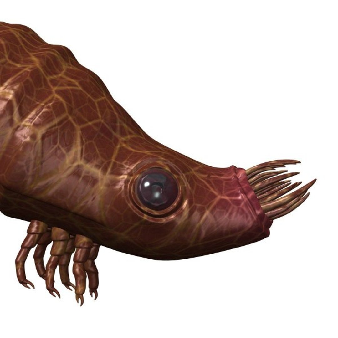 3d Larva Monster Model