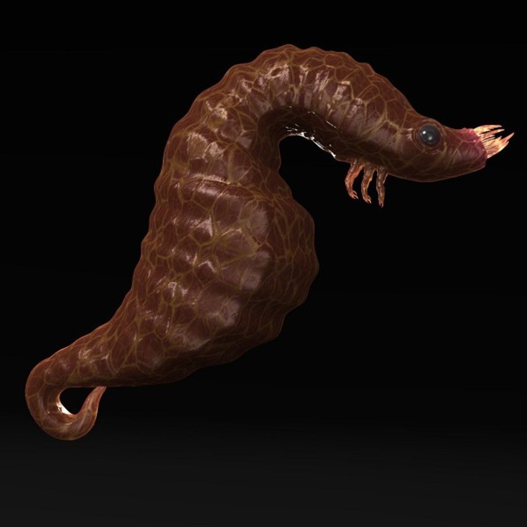 3d Larva Monster Model