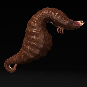 3D Larva Models | TurboSquid