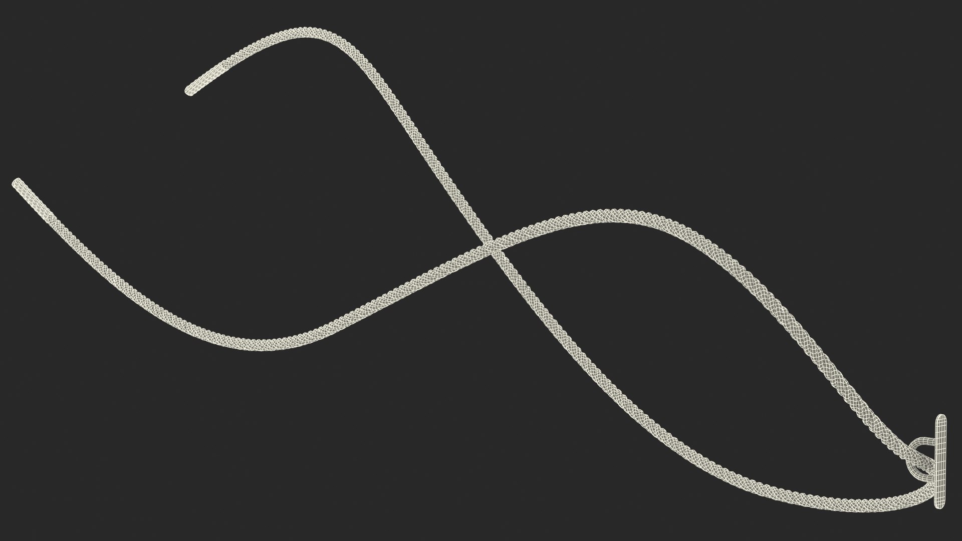 Battle Rope Alternating Waves Position 3D - TurboSquid 1778356
