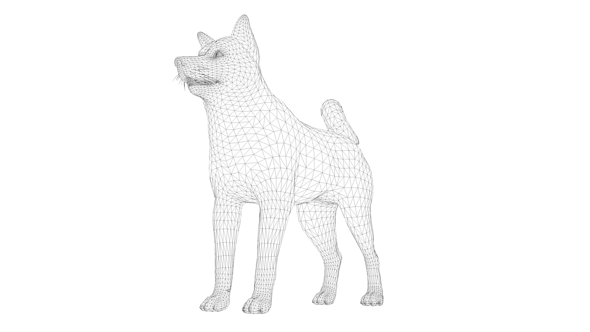 3D Model White Dog - TurboSquid 2096806