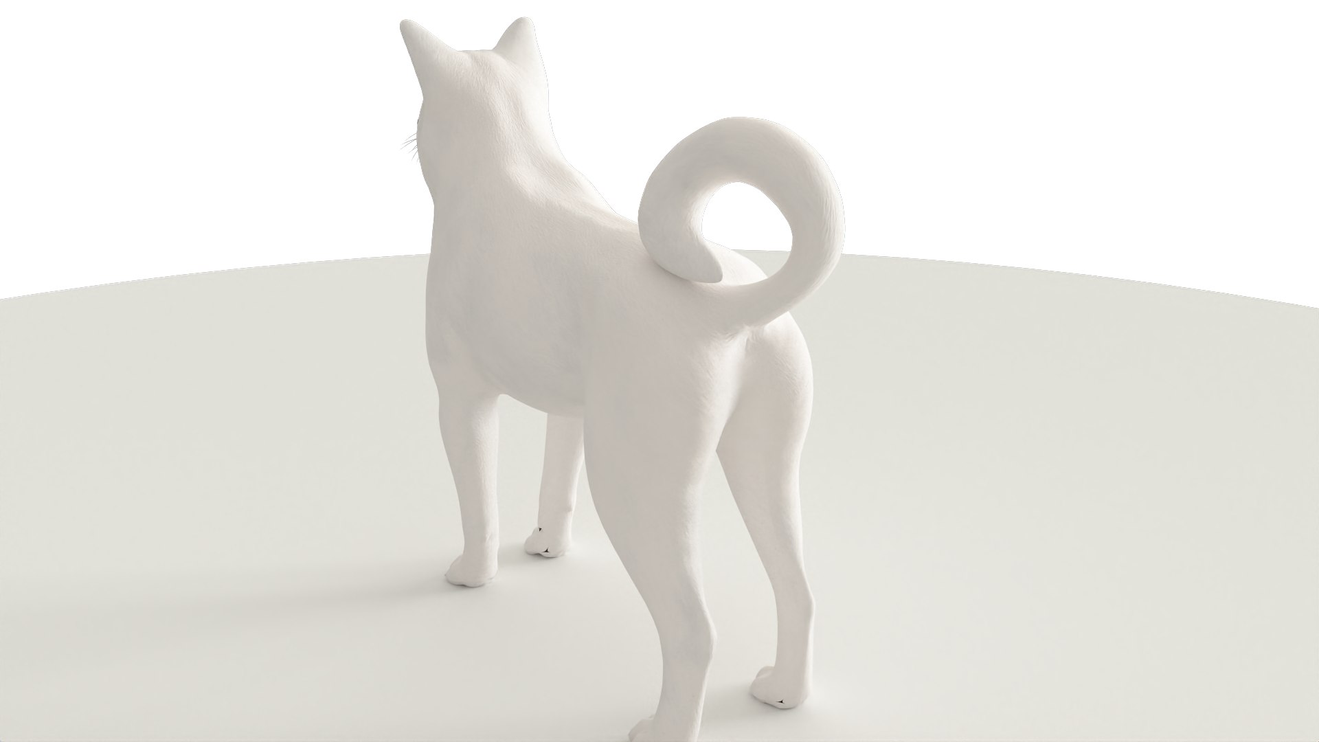 3D Model White Dog - TurboSquid 2096806