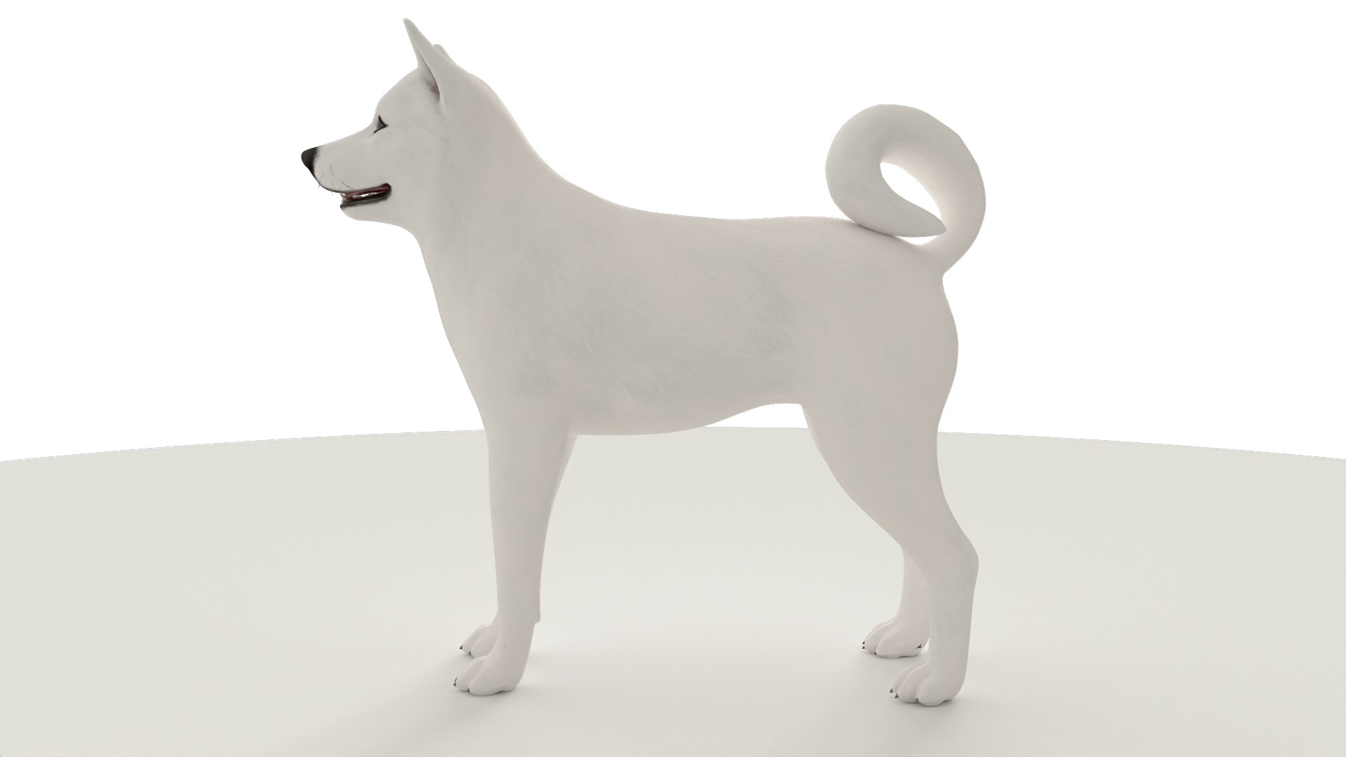 3D Model White Dog - TurboSquid 2096806