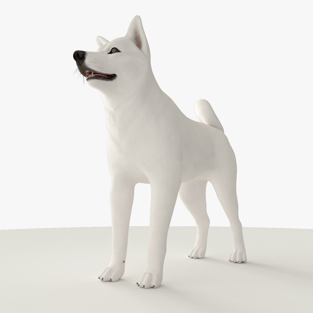3D model White Dog - TurboSquid 2096806