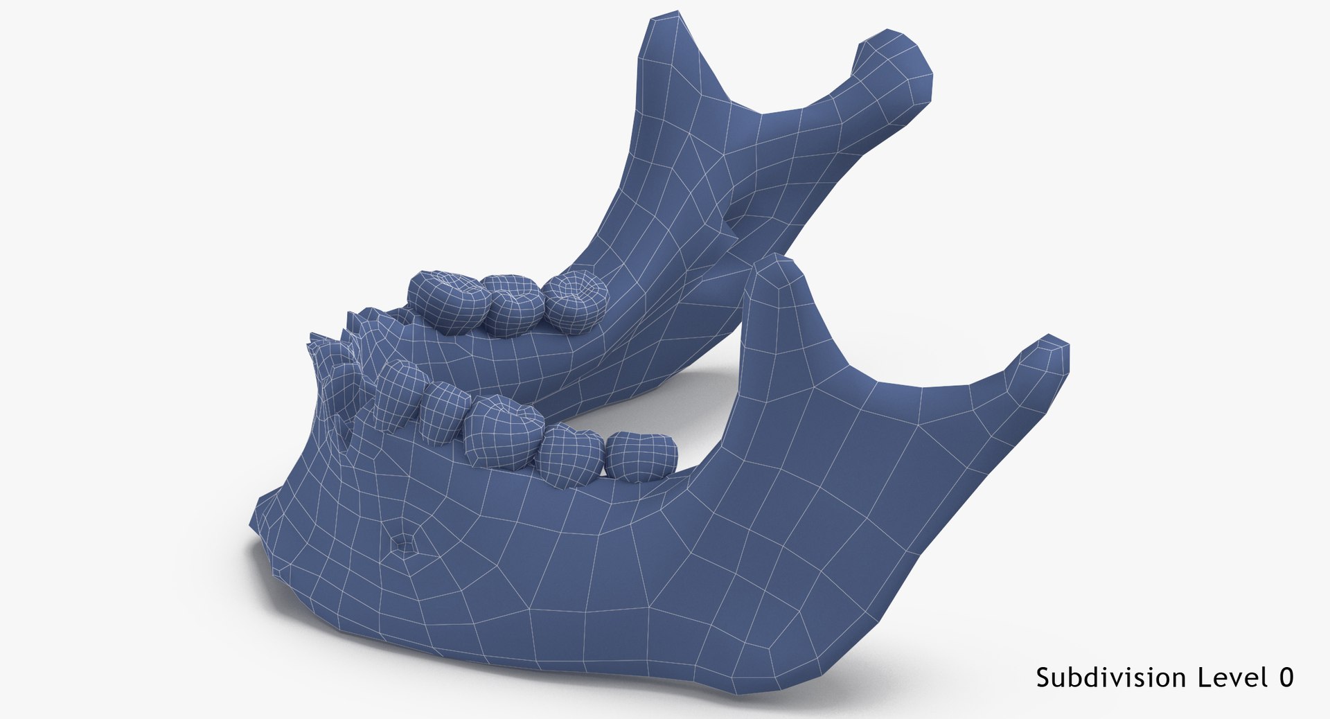 Human Jawbone Mandible 01 3D Model - TurboSquid 1426804