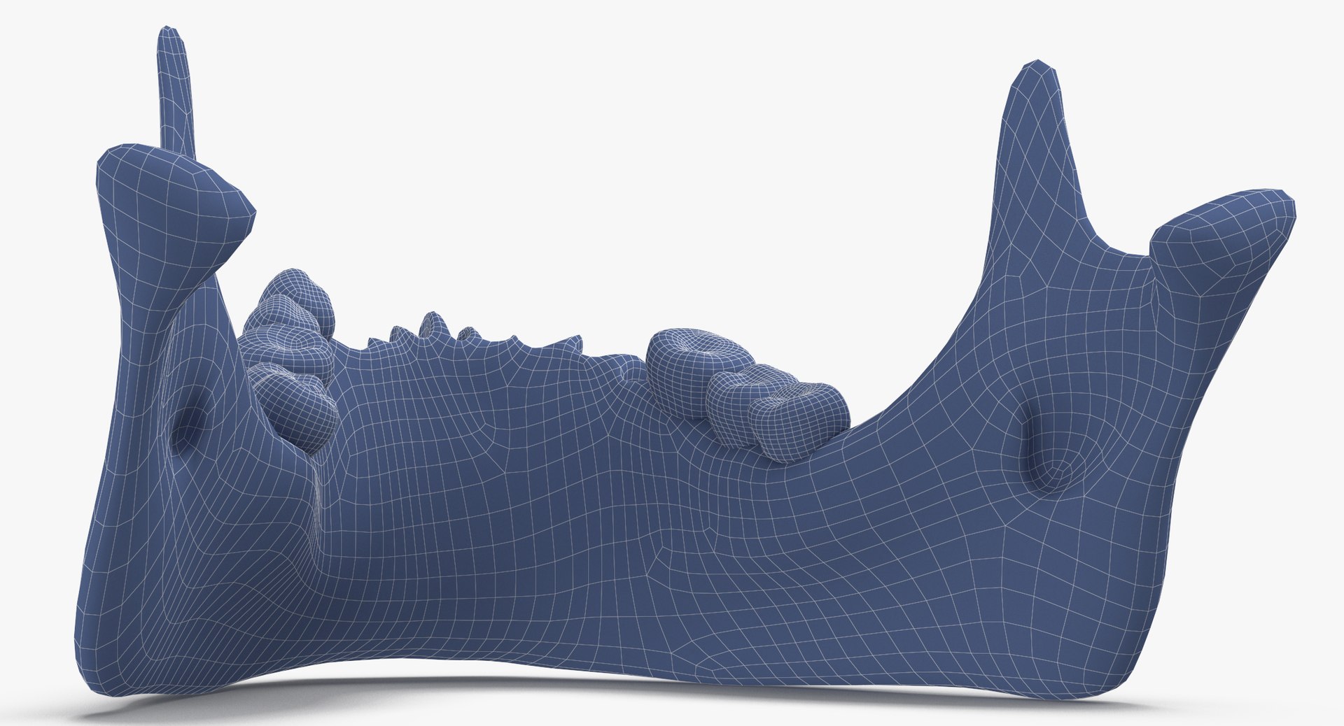 Human Jawbone Mandible 01 3D Model - TurboSquid 1426804