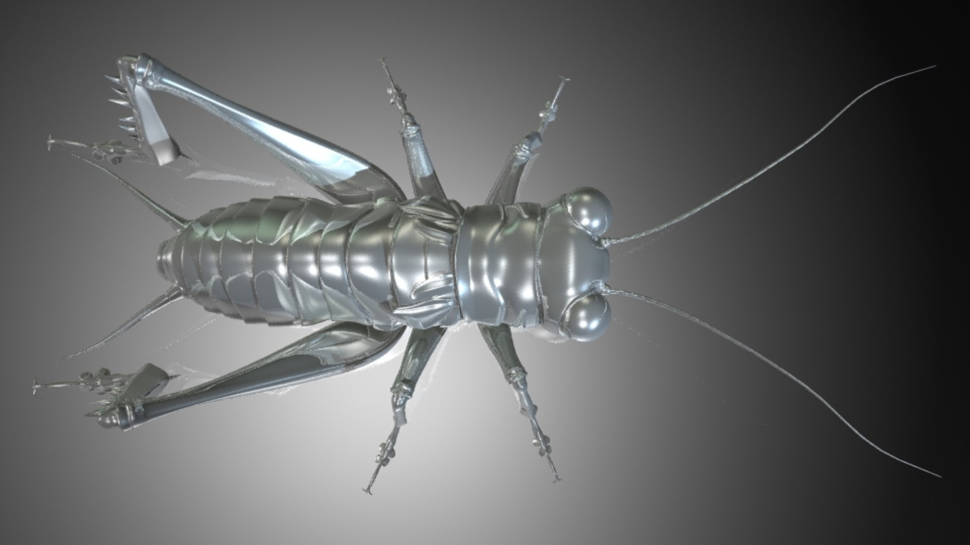 3D Model Cricket Insects - TurboSquid 1318643