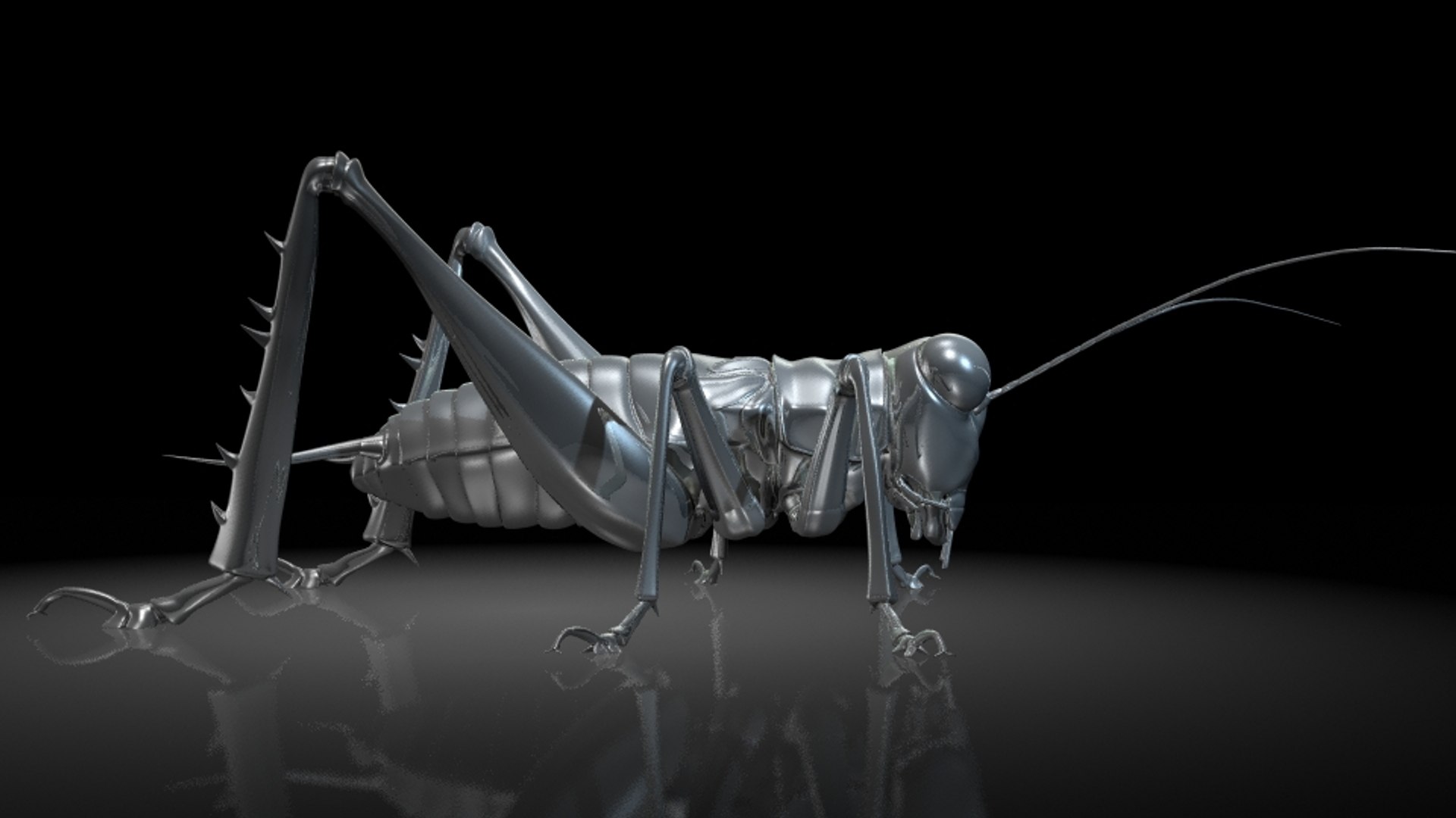 3D Model Cricket Insects - TurboSquid 1318643
