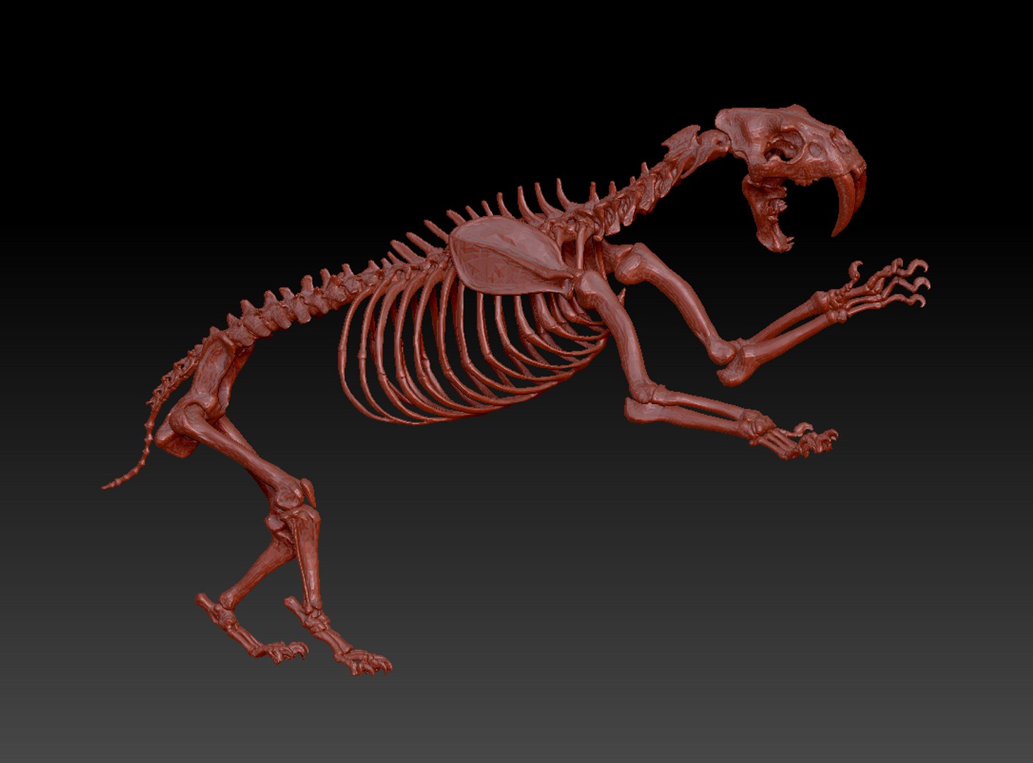3D Saber Tooth Tiger Model - TurboSquid 1428439