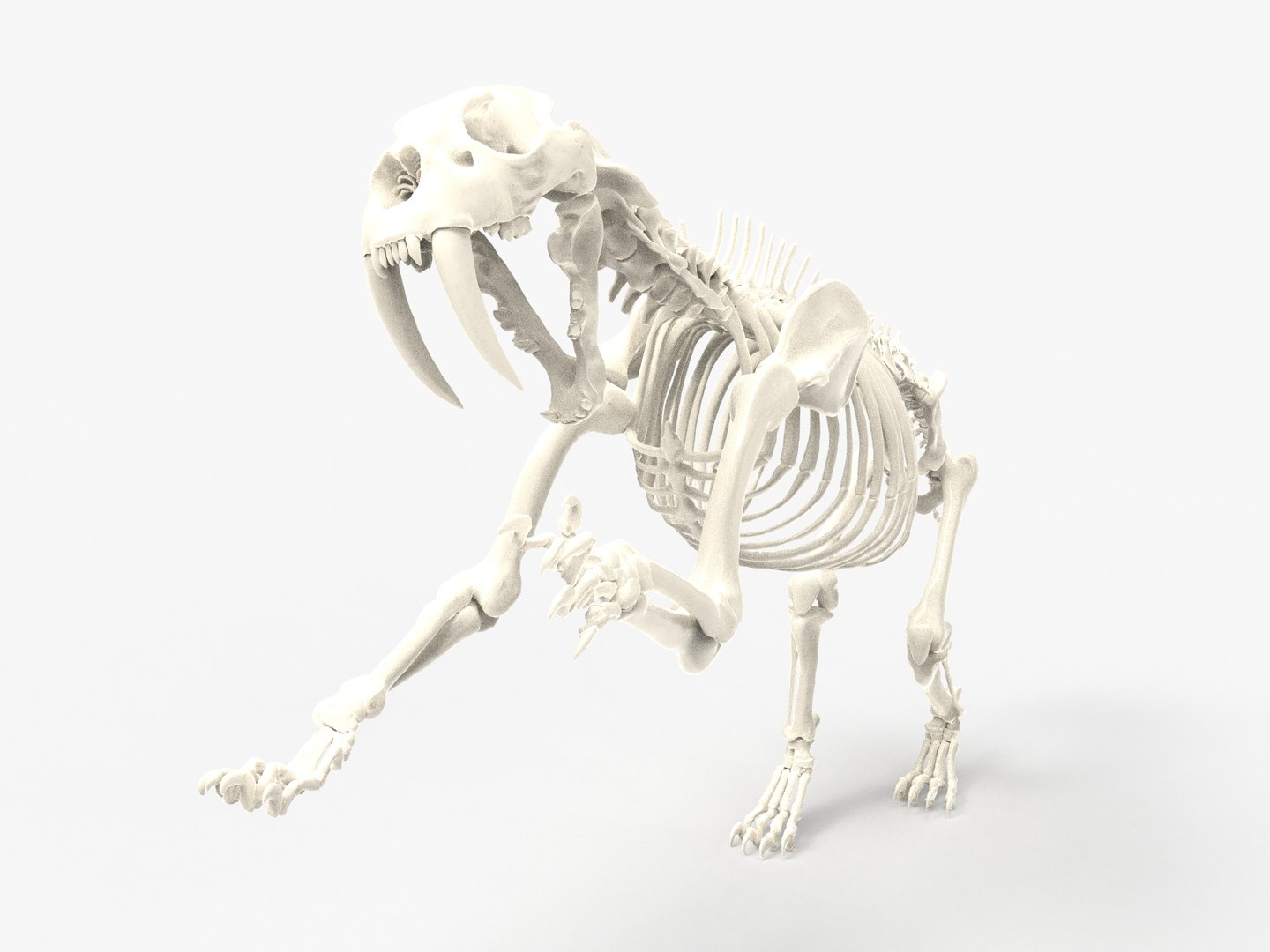 3D Saber Tooth Tiger Model - TurboSquid 1428439